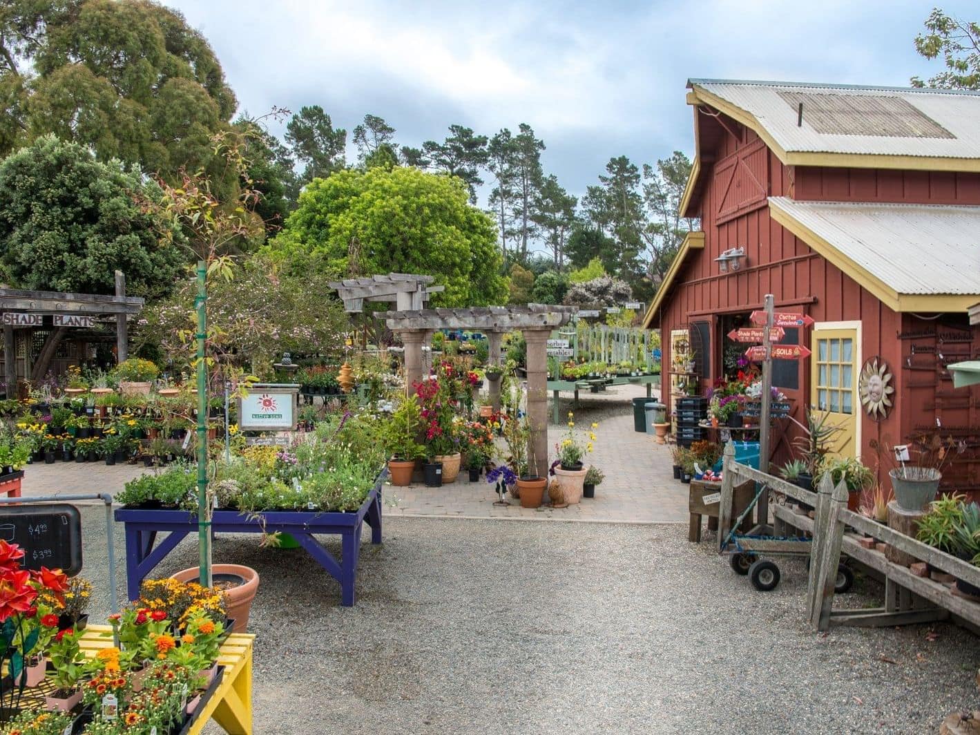 Things to Do in Cambria: Uncover Hidden Gems - Wander Flag
